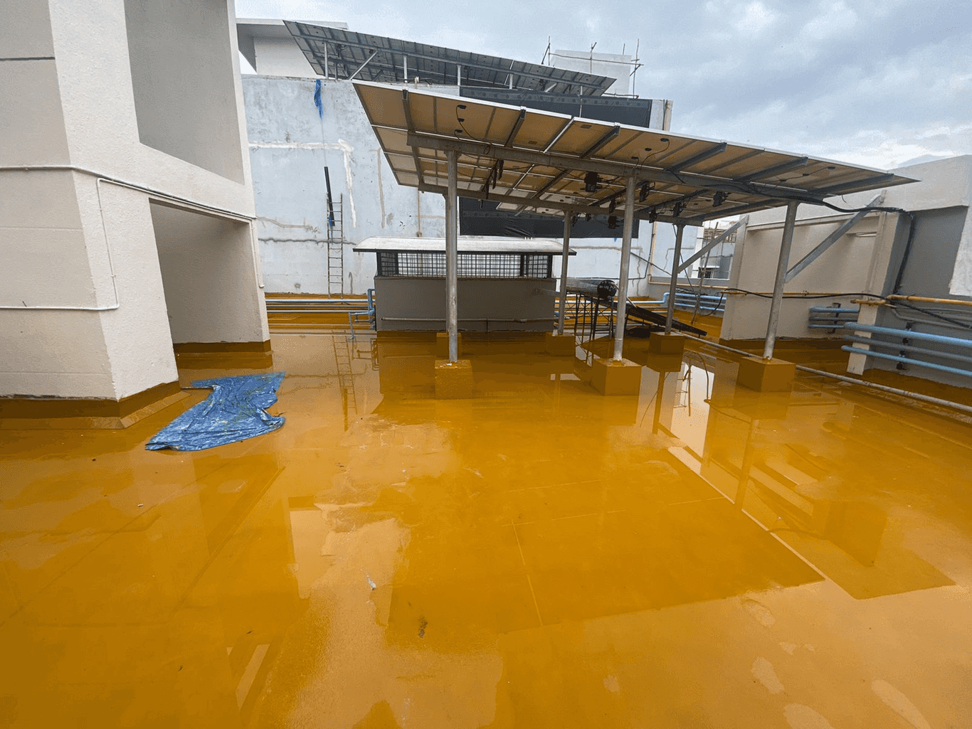 Ready to take the Next Step